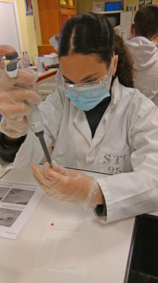 Frottis sanguin et observation microscopique des cellules sanguines ...